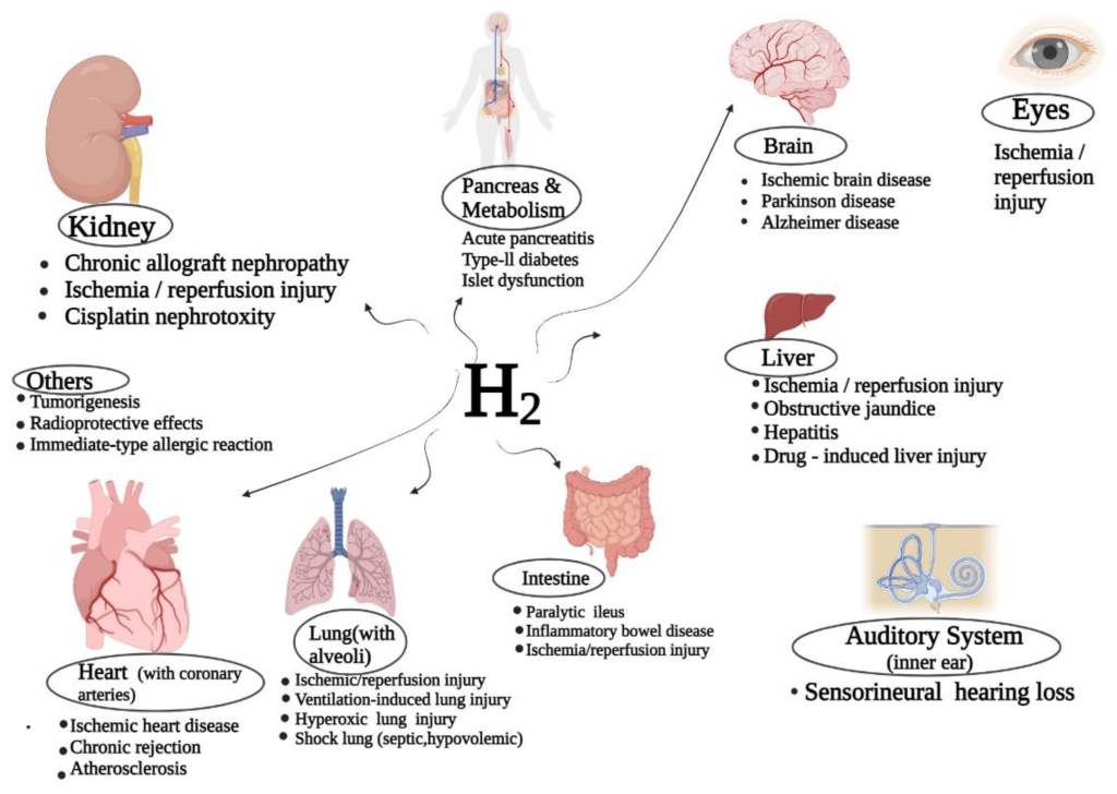 Discover 4 Benefits of Inhaling Hydrogen Gas That You Never Know In School